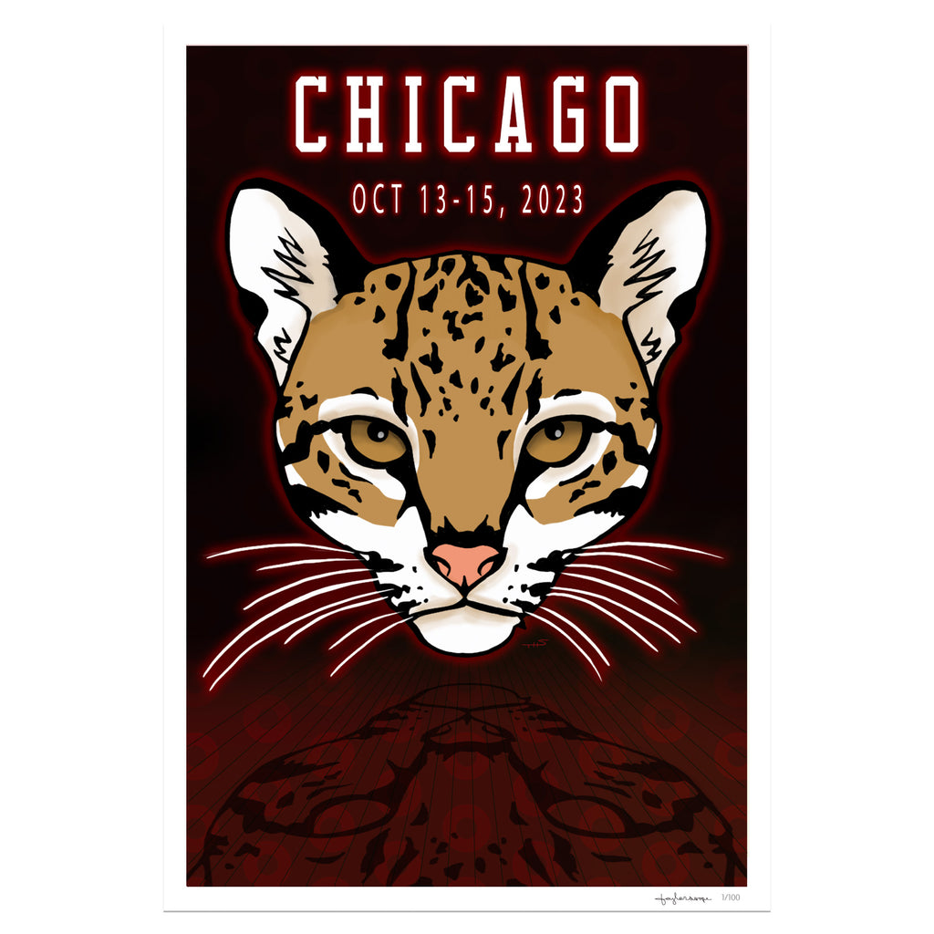 Chicago 2023 Fall Tour Poster – Little Hippie